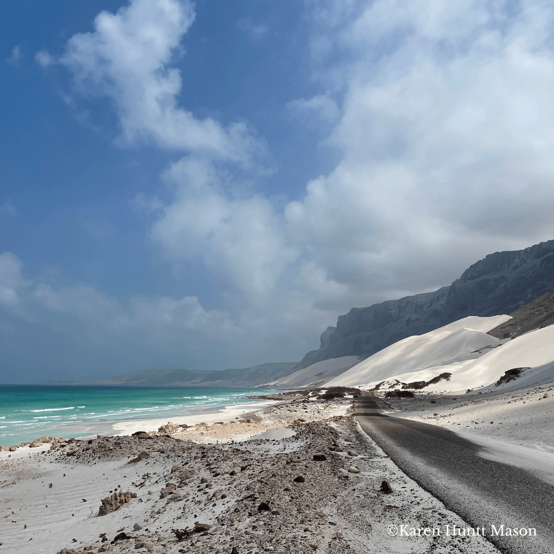 Bespoke trip to the Yemeni Island of Socotra– ISHKAR